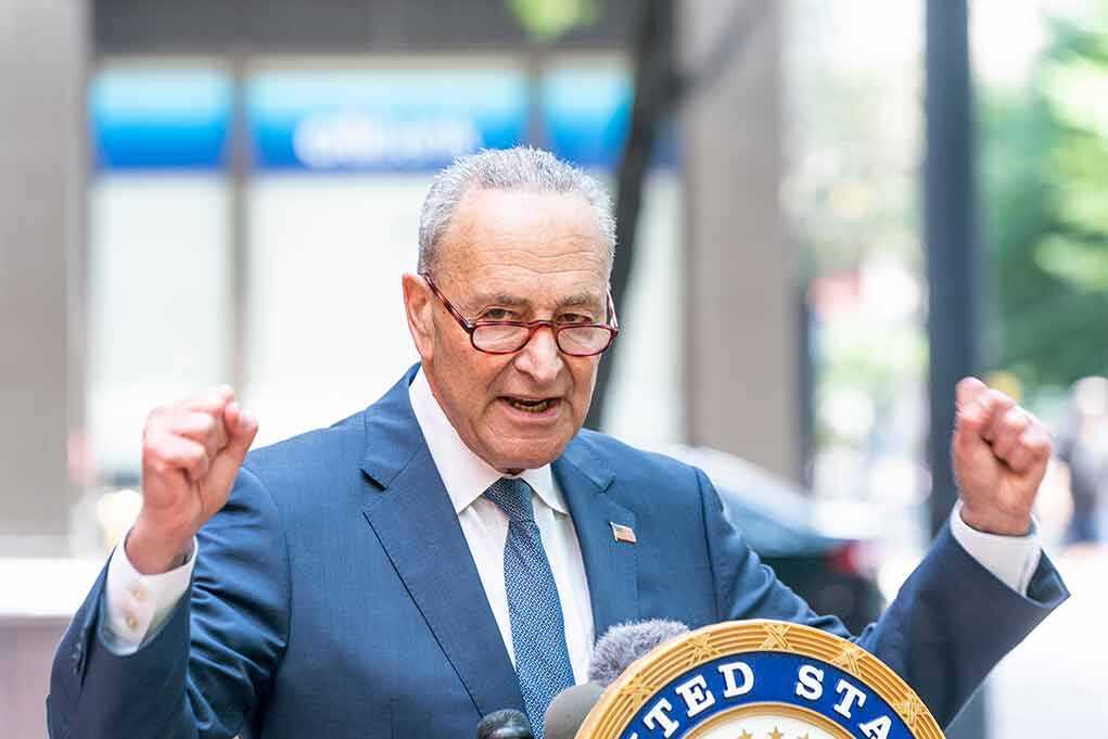 Chuck Schumer’s Whistleblower Line Backfires Badly | Patriot Wise
