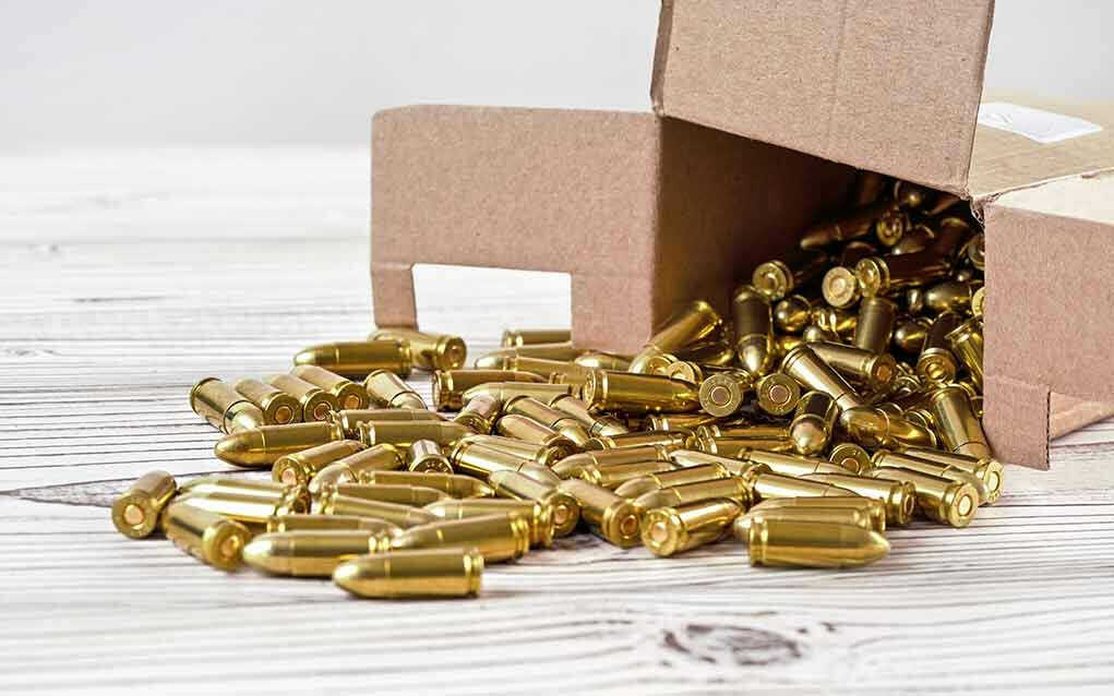 ANTI-ICE Assassins ENGRAVE Shell Casings | Patriot Wise